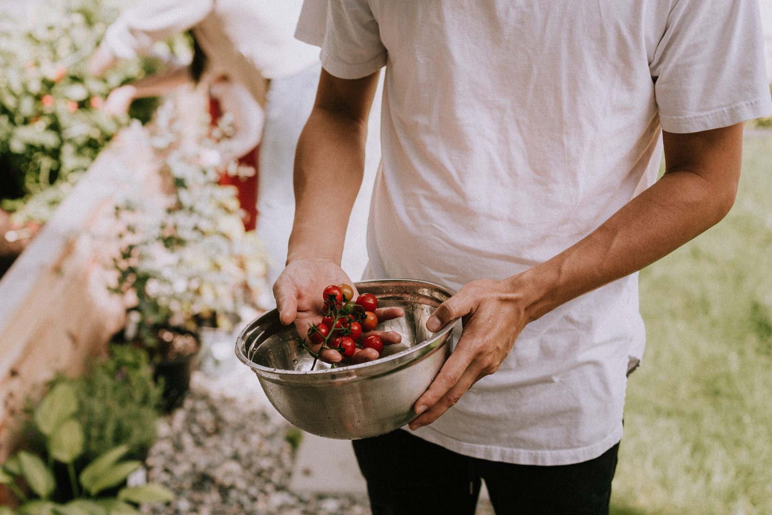 Edinburgh Food Social | Local, sustainable and seasonal food